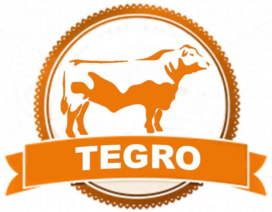 Tegro Spol. S R.o. - Pelhřimov 393 01 (Pelhřimov), Těšenov 64, Horní C