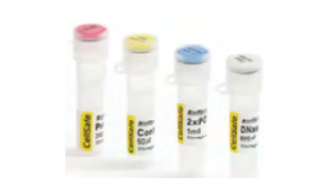 BioMycoXⓇ Mycoplasma PCR Detection Kit (by CellSafe Co., Ltd)